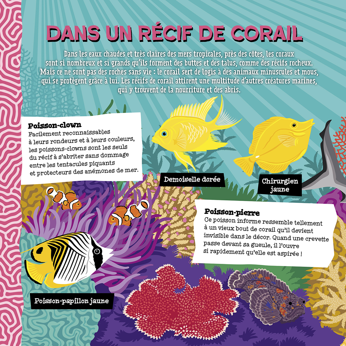 Je découvre des animaux incroyables – Stéphanie Desbenoit